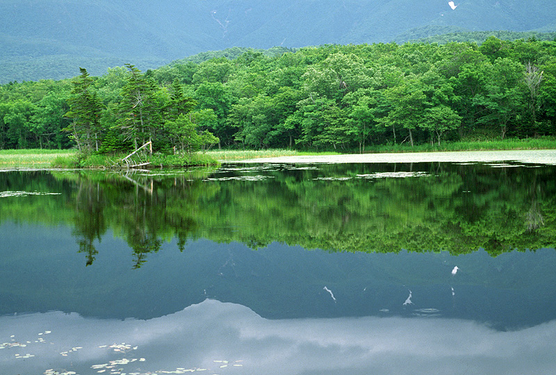 National Parks ＆ World Heritage Sites of JAPAN : Yambaru Visitor Centre