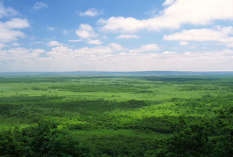 National Parks ＆ World Heritage Sites of JAPAN : Yambaru Visitor Centre