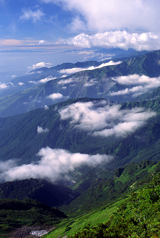 National Parks ＆ World Heritage Sites of JAPAN : Yambaru Visitor Centre